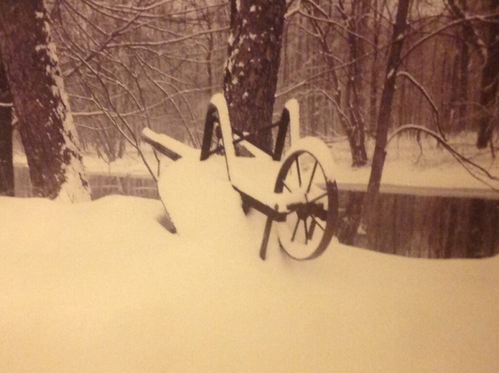 A Word about Wheelbarrows | Sunflower Seeds